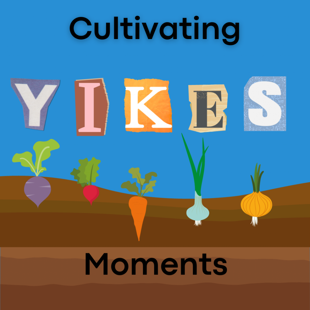 Trail Notes January 2024 : Cultivating “Yikes” Moments – Healthy ...